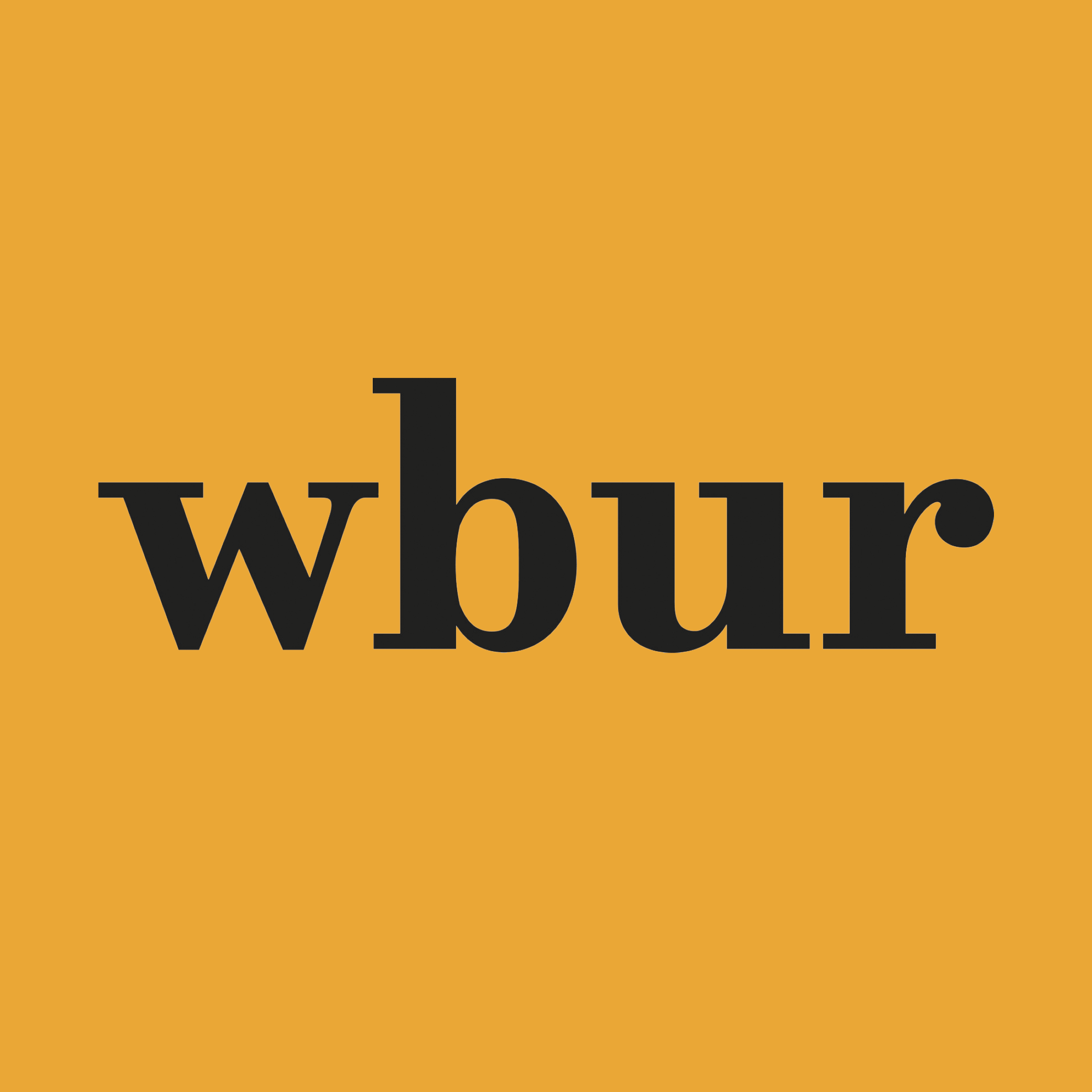 WBUR: A non-verbal boy said 'Wow' at Boston Symphony Hall. Now, he’s ...